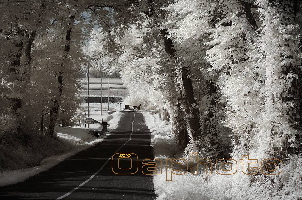 Galerie Infrarouge / Gallery Infrared