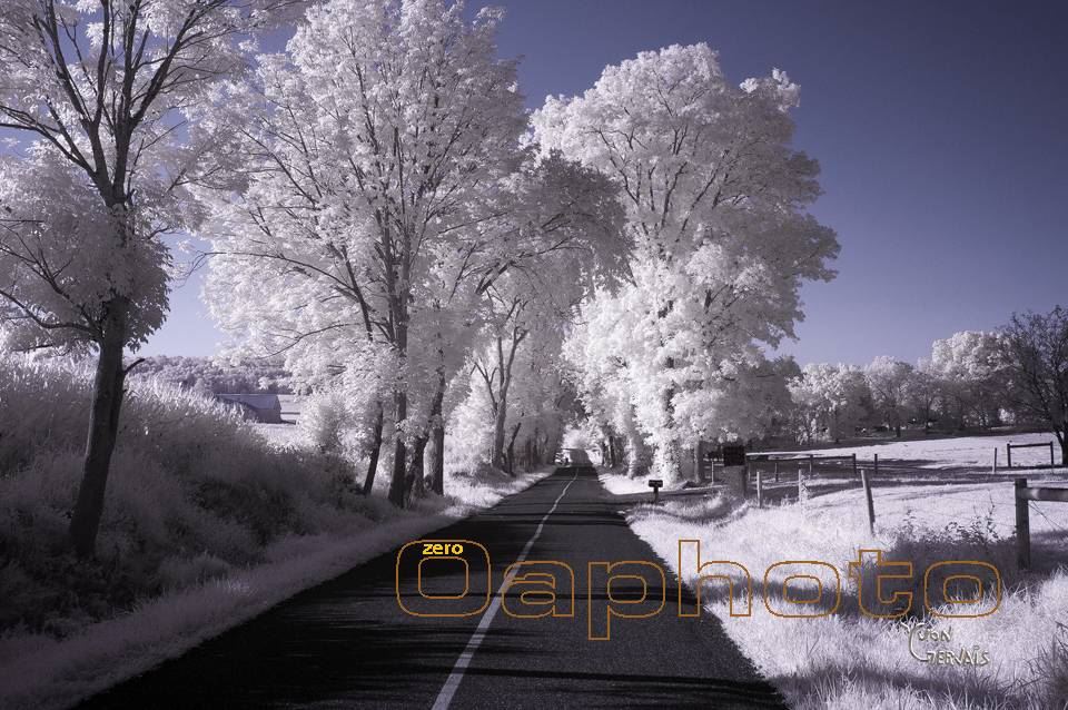 Galerie Infrarouge / Gallery Infrared