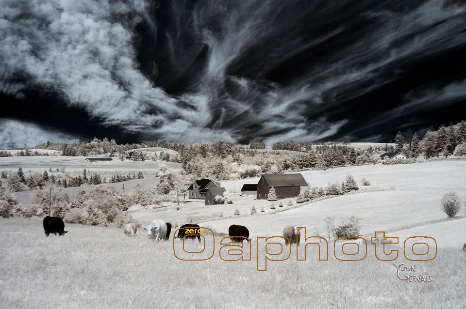 Galerie Infrarouge / Gallery Infrared