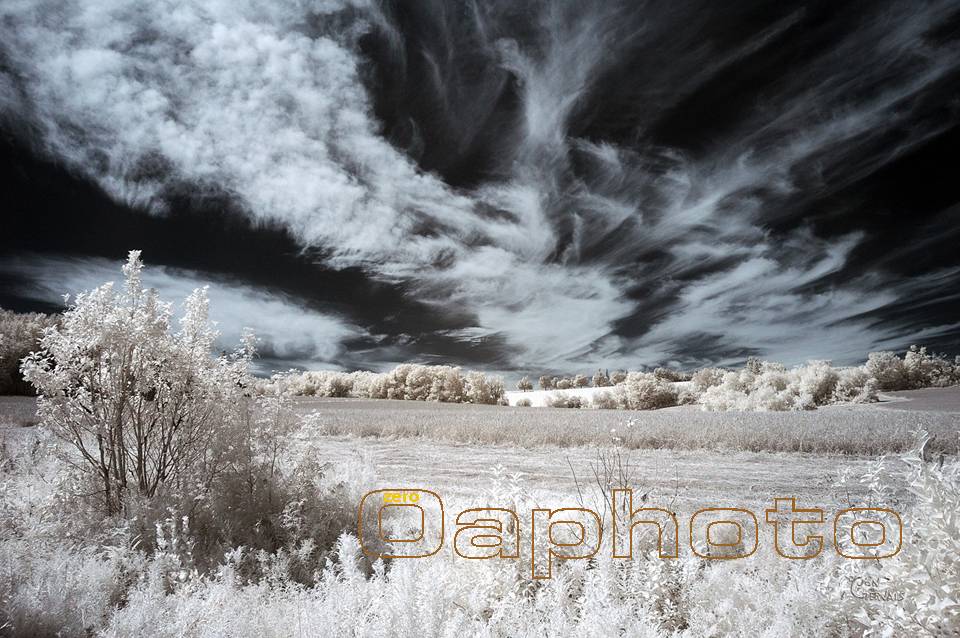 Galerie Infrarouge / Gallery Infrared