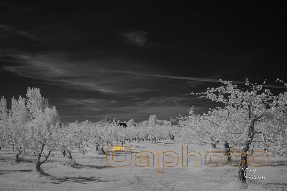 Galerie Infrarouge / Gallery Infrared