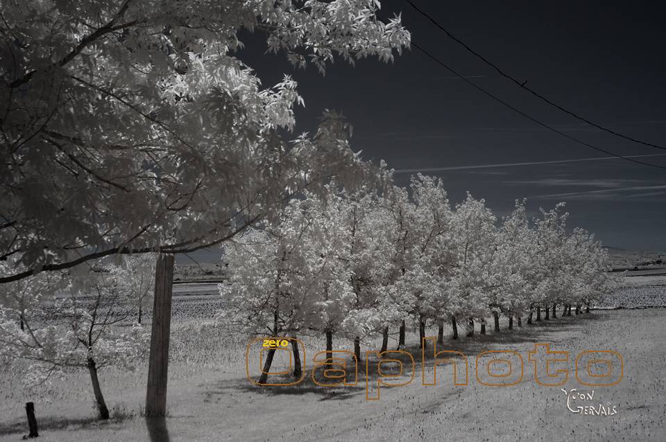 Galerie Infrarouge / Gallery Infrared