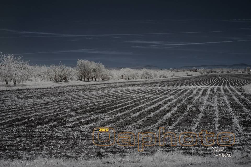 Galerie Infrarouge / Gallery Infrared