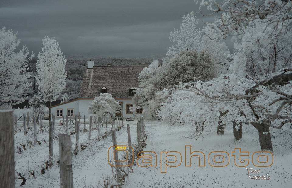Galerie Infrarouge / Gallery Infrared