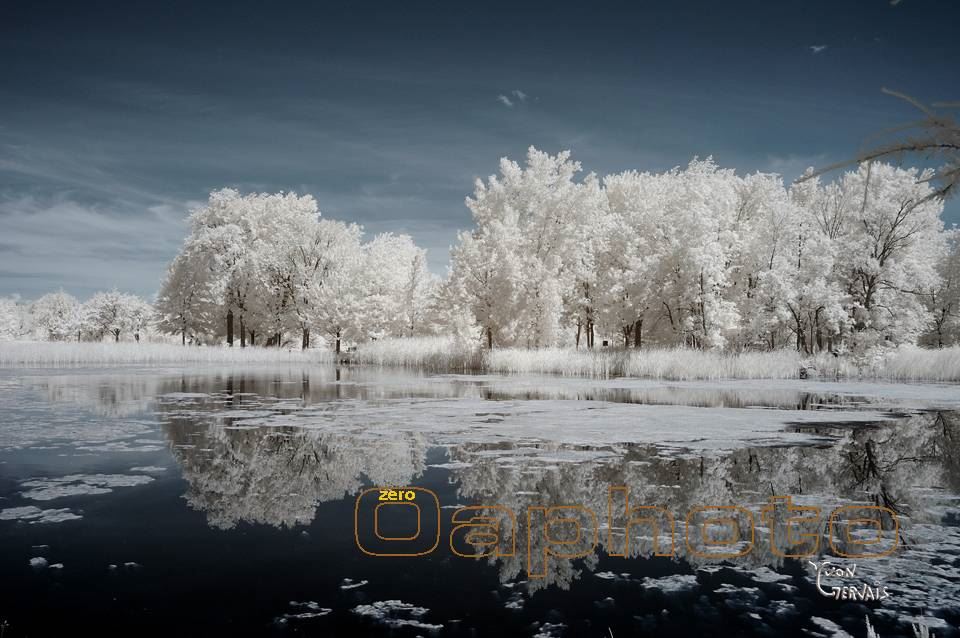 Galerie Infrarouge / Gallery Infrared