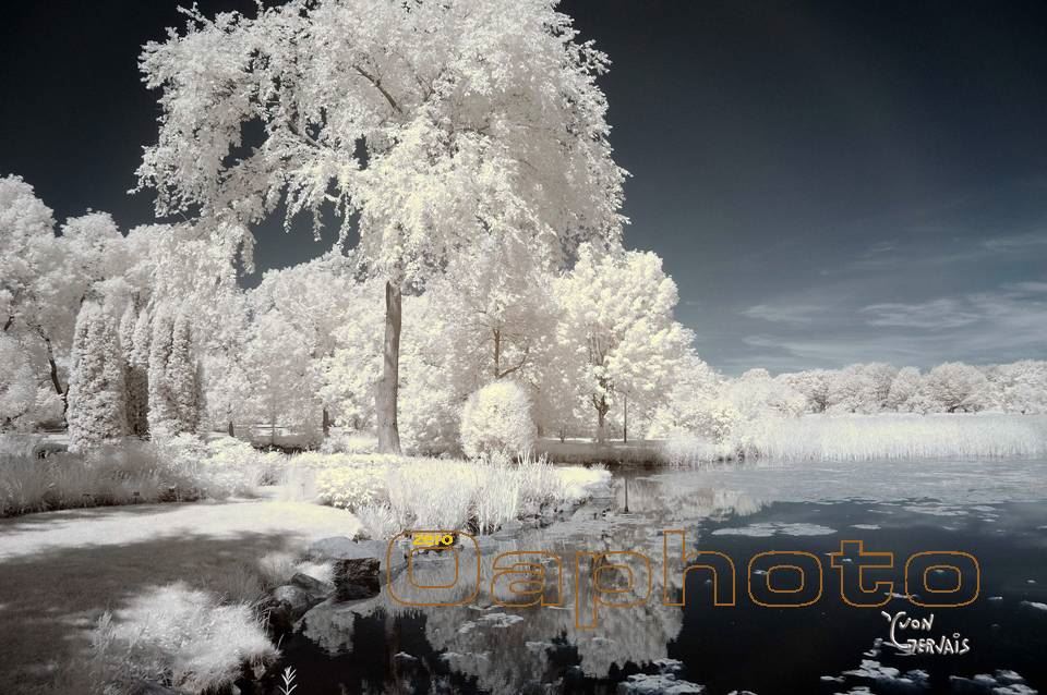 Galerie Infrarouge / Gallery Infrared