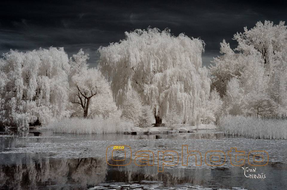 Galerie Infrarouge / Gallery Infrared