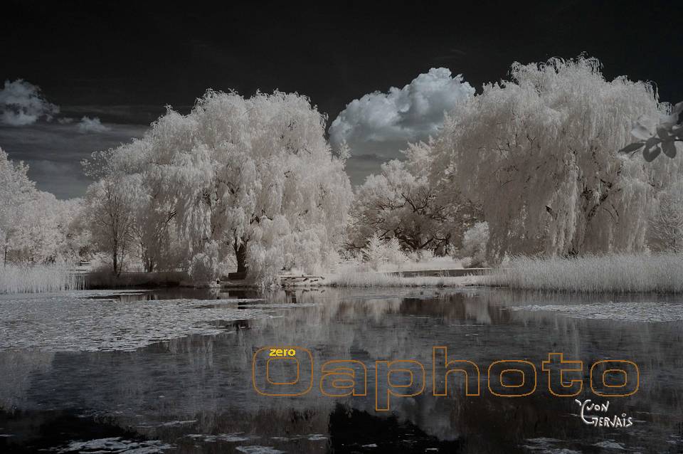 Galerie Infrarouge / Gallery Infrared