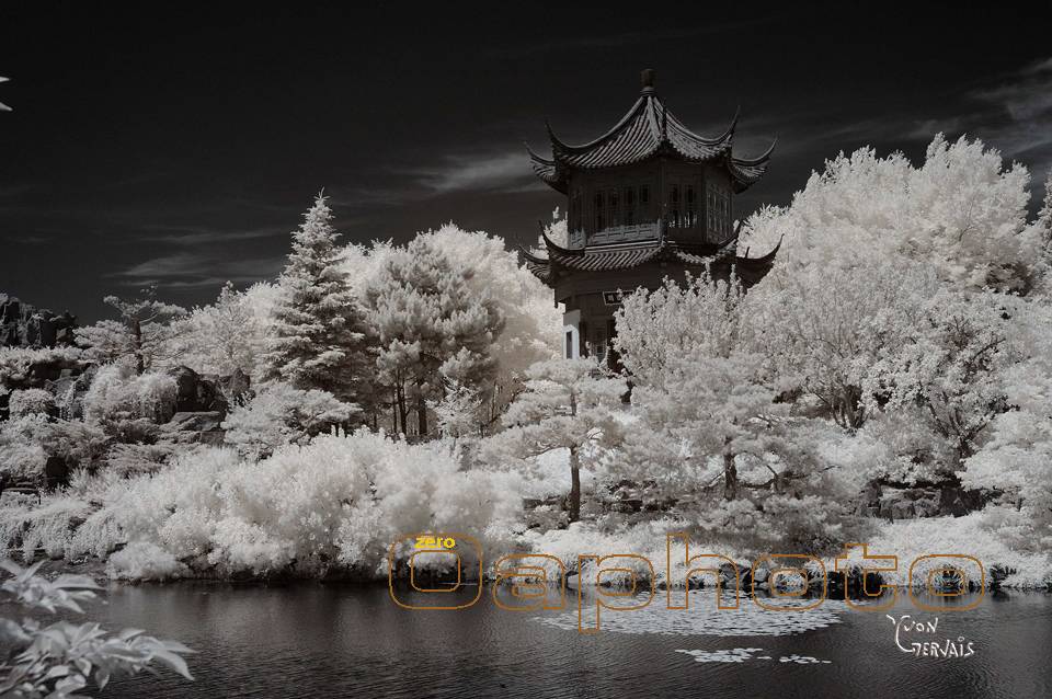 Galerie Infrarouge / Gallery Infrared