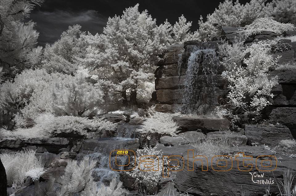Galerie Infrarouge / Gallery Infrared