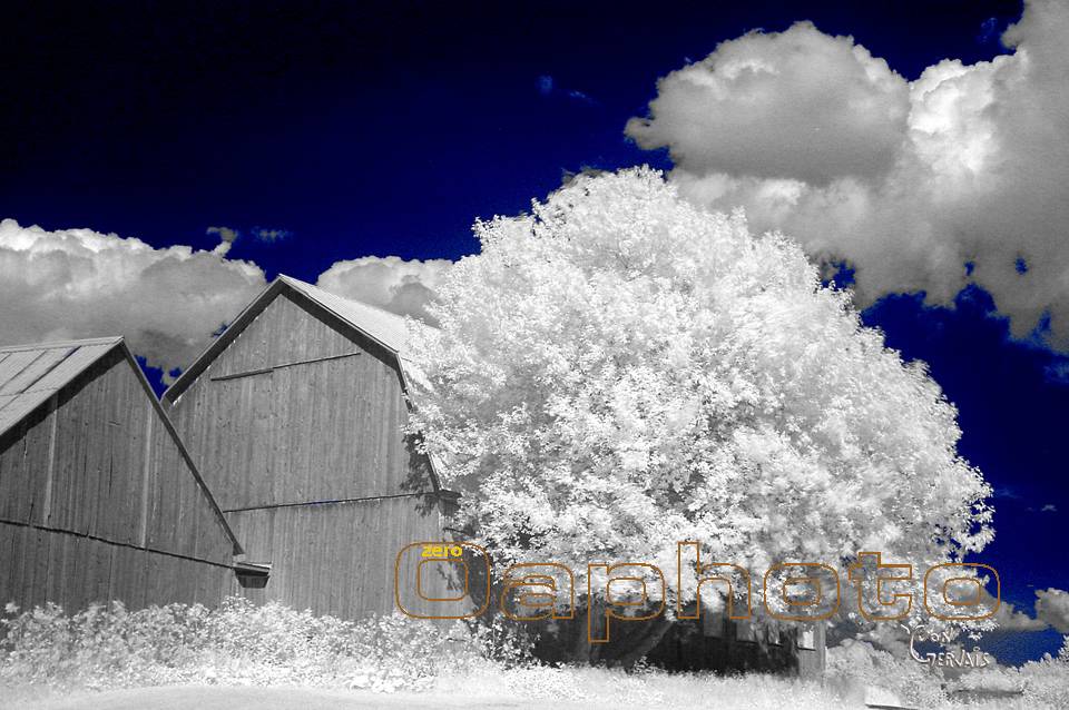 Galerie Infrarouge / Gallery Infrared