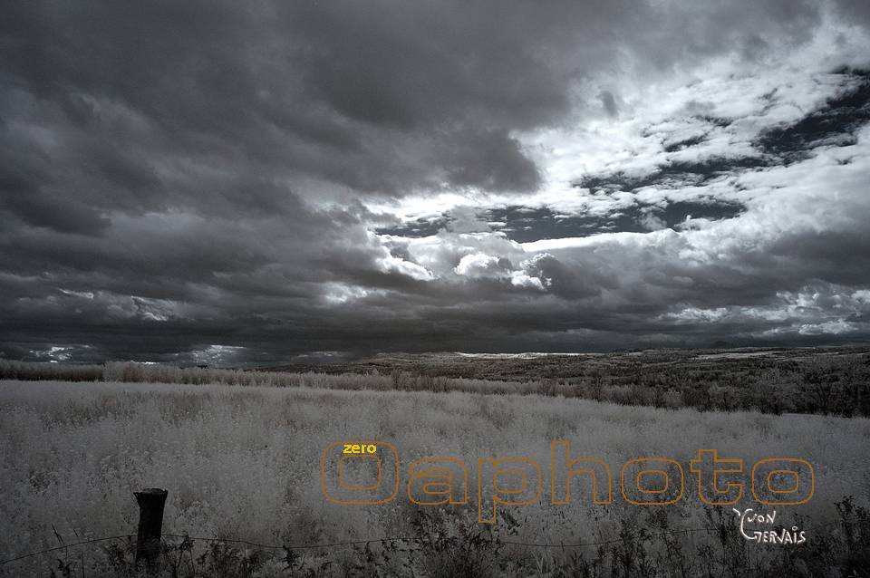 Galerie Infrarouge / Gallery Infrared